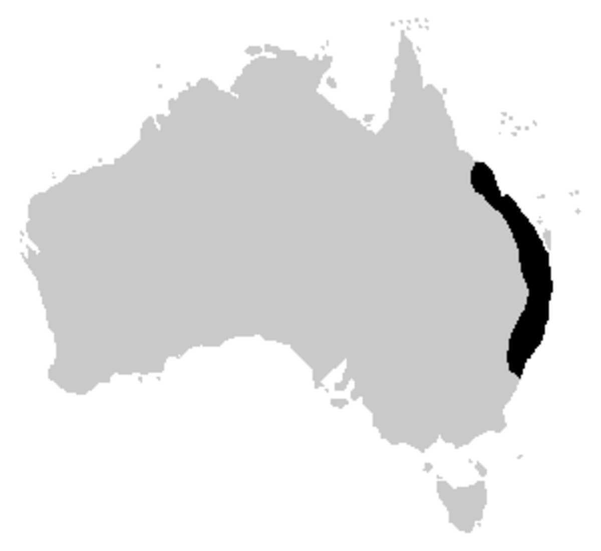 Uperoleia fusca - Définition et Explications