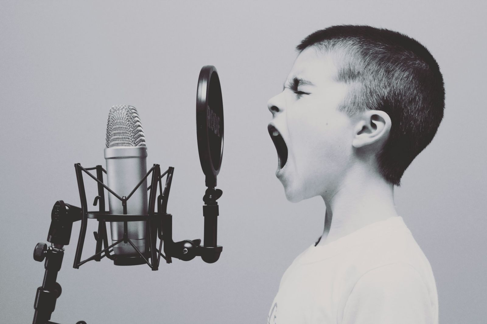 🧠 Our knowledge about speech called into question